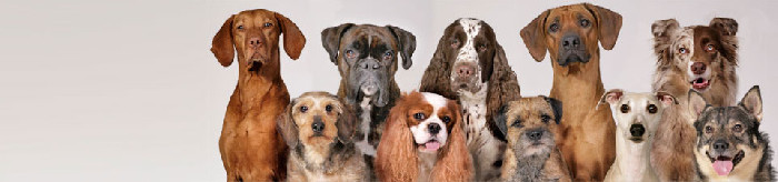 Valpar :: www.SwedishMeadow.se